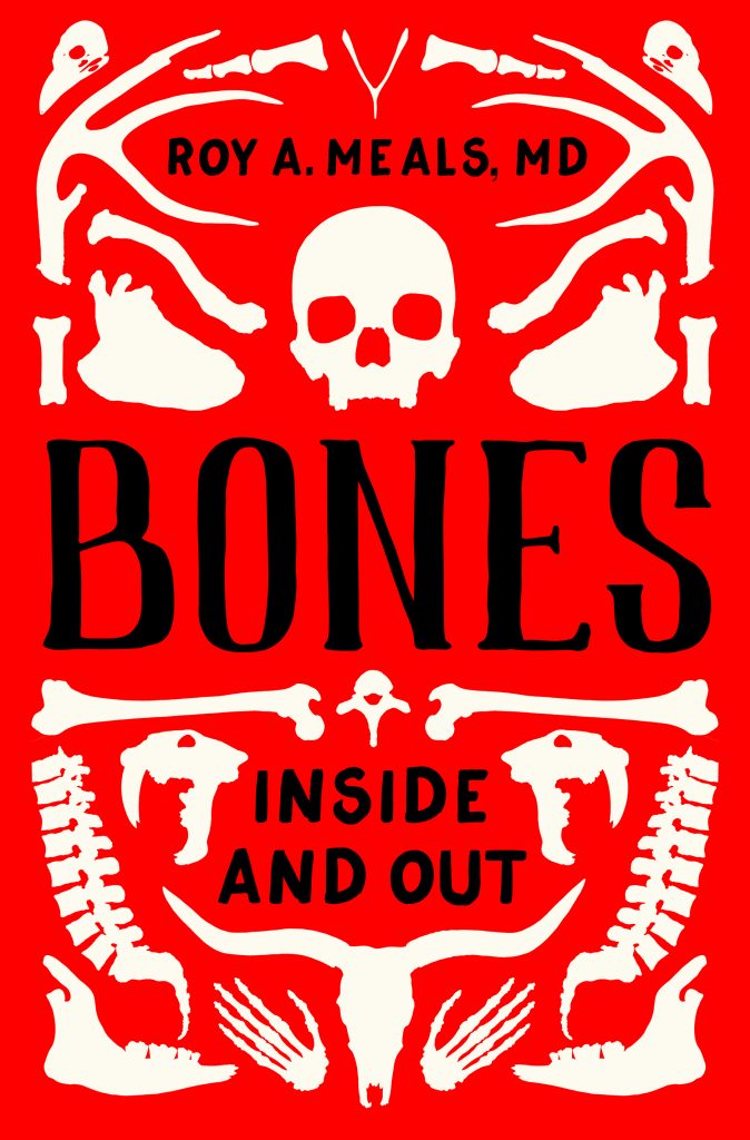 AboutBone Turns Three