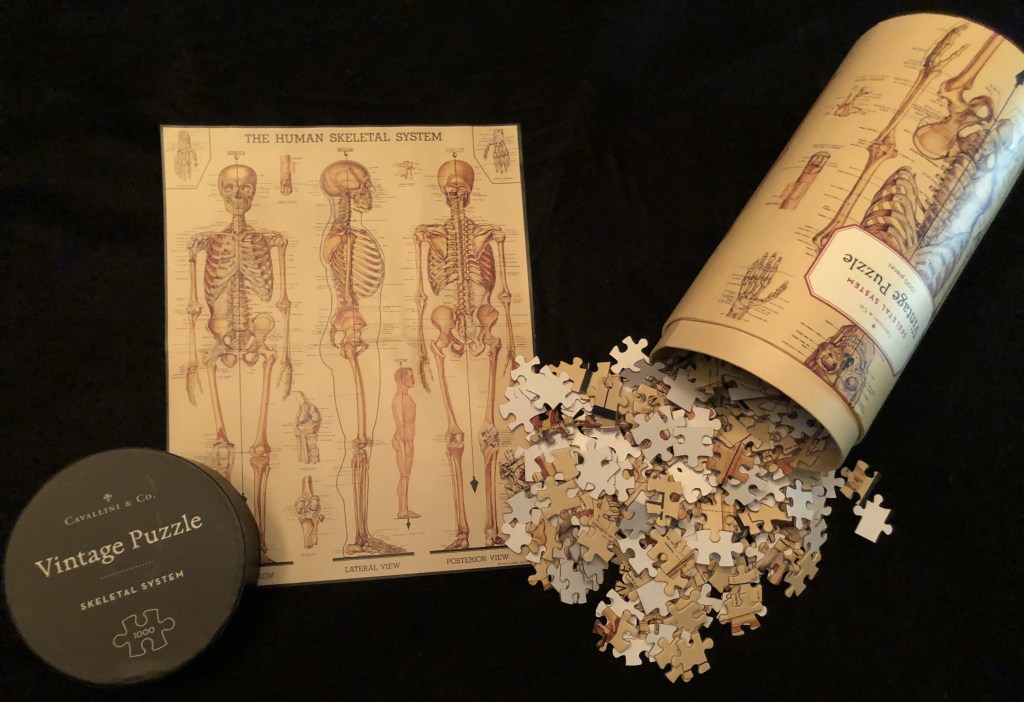 Puzzling Skeletal Anatomy