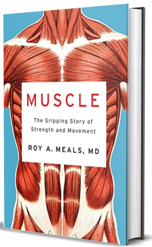 Muscle, The Gripping Story of Strength and Movement