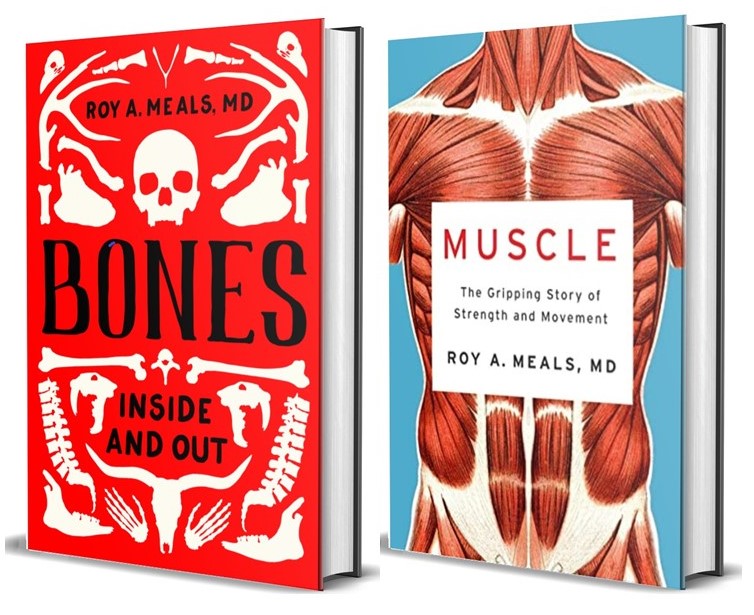 Bones Introduces Its New Companion, Arriving July 25