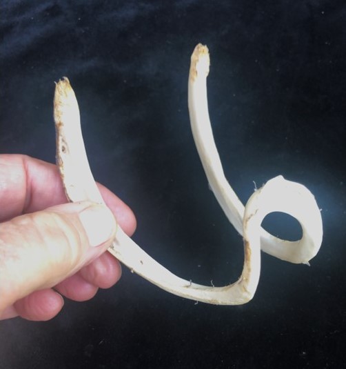 How do you know it's really turkey?